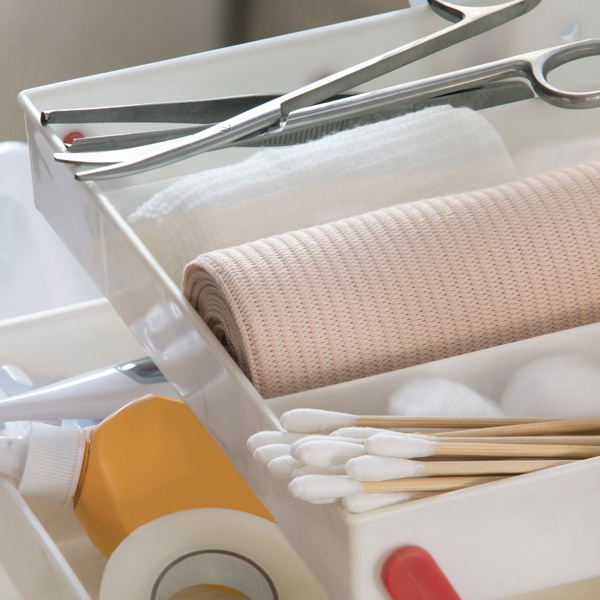 Improving chronic wound care across the world | Faculty of Biology ...