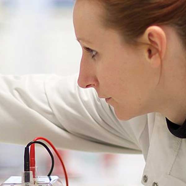 British Heart Foundation 4-year PhD| Biology, Medicine and Health ... British Heart Foundation 4-year PhD| Biology, Medicine and Health ...